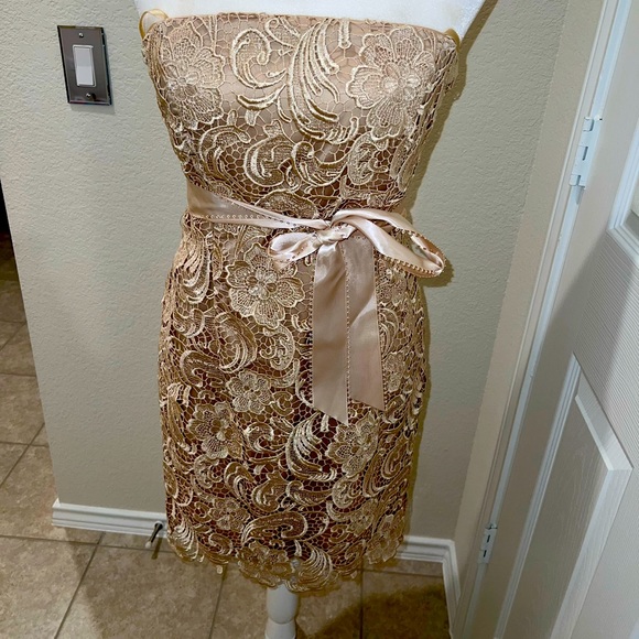 Cache | Dresses | Cache Dress Sz 8 | Poshmark